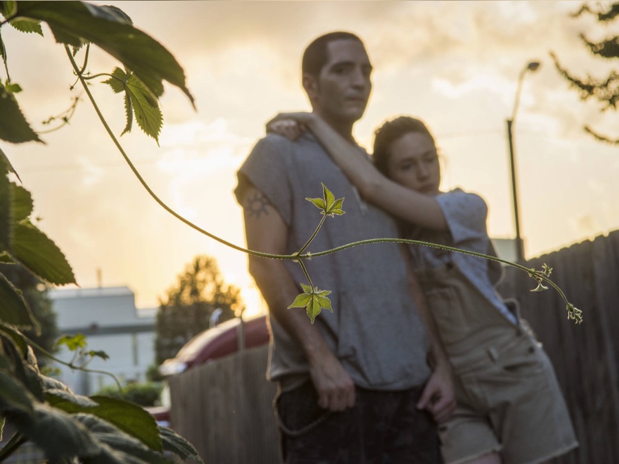 All Creatures Here Below - Apple TV (GM)