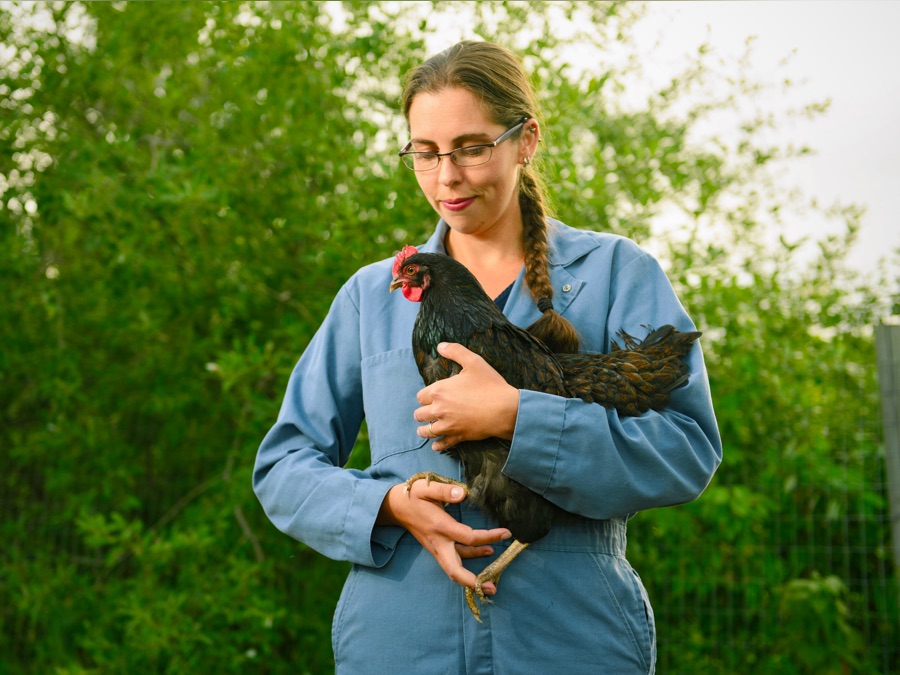 Wild Rose Vet - Apple TV (CA)