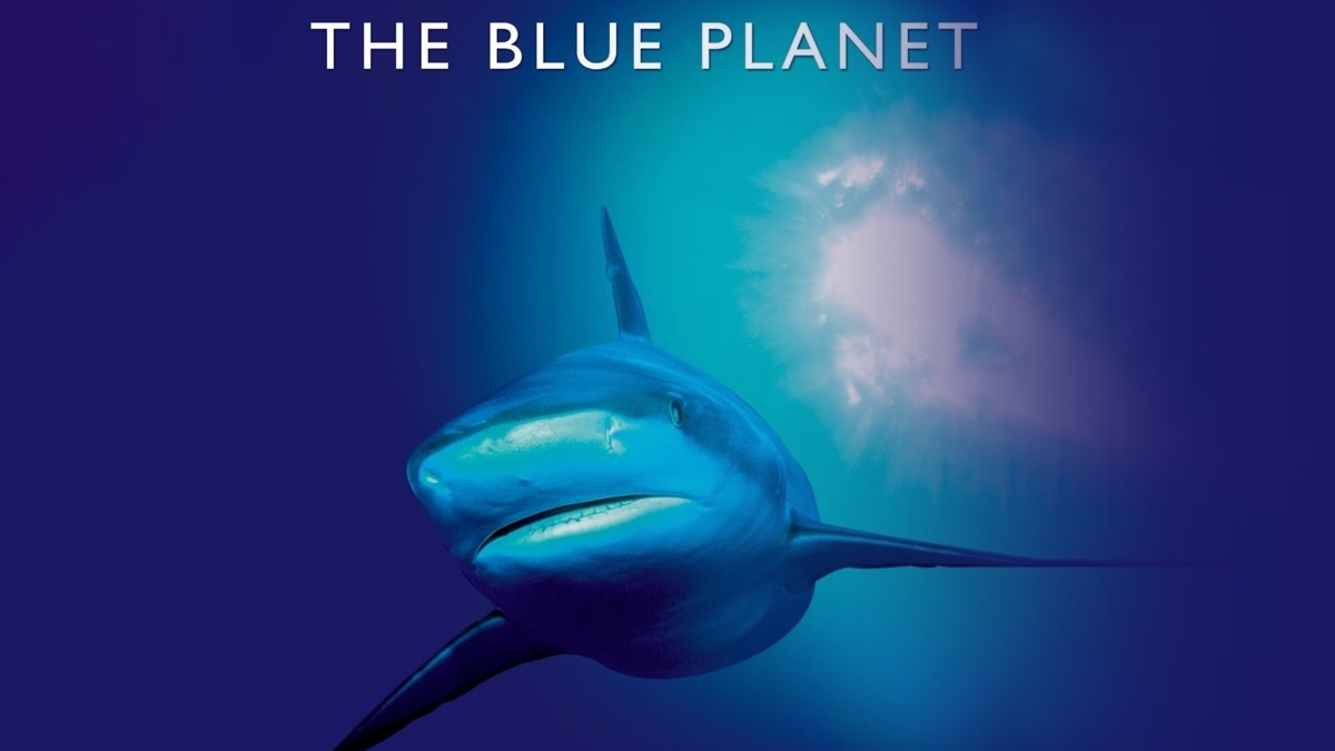 ‎The Blue Planet - Apple TV
