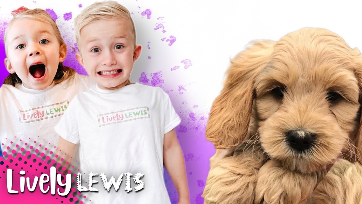 Lively Lewis Family Adopts a New Puppy! - Lively Lewis Show (Season 1 ...