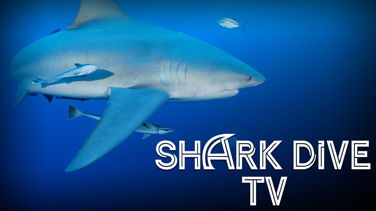 Shark Dive TV - Apple TV (UK)