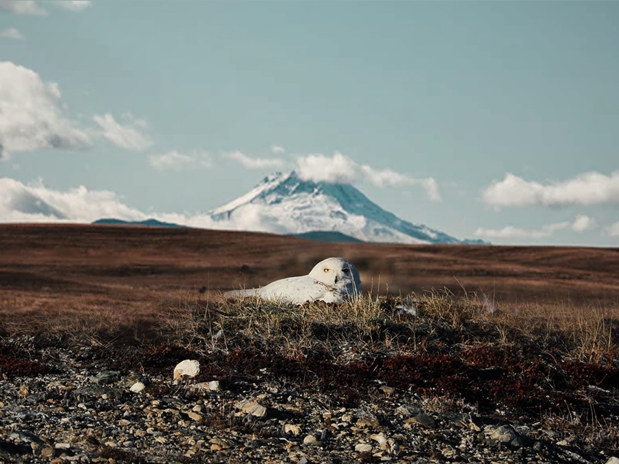 Tundra - Apple TV