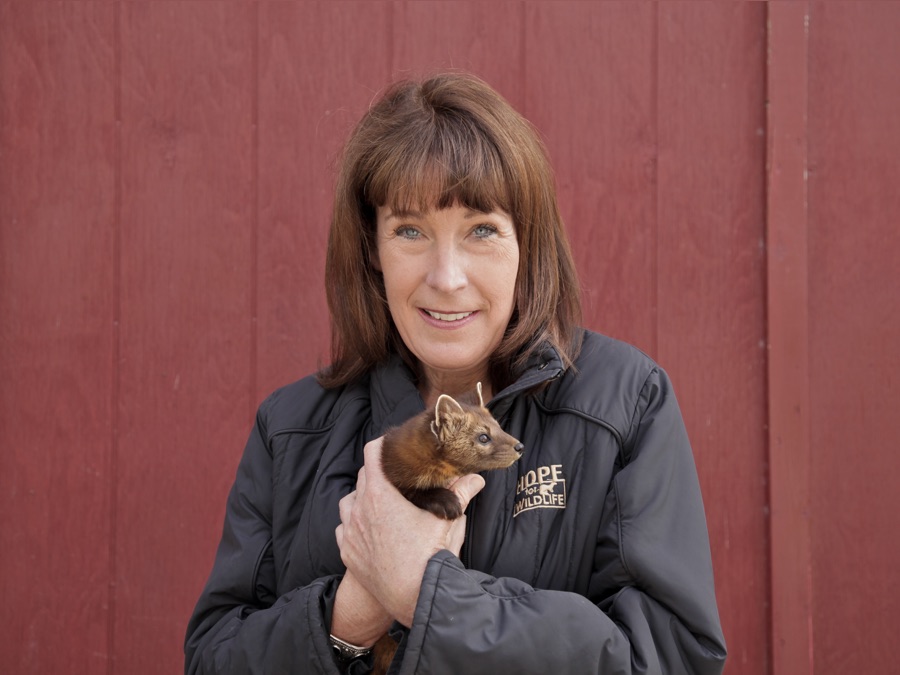 Hope for Wildlife - Apple TV (CA)