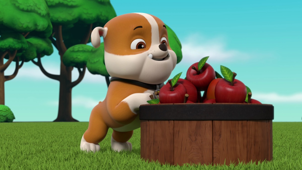 Pups Stop a Super Shaker / Pups Save a Flying Farmhouse - PAW Patrol ...