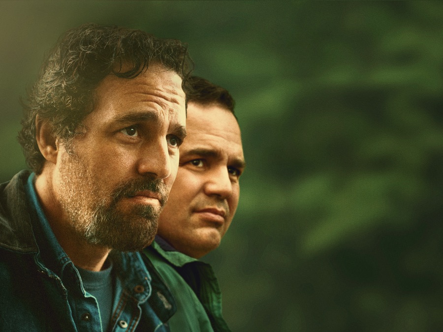 I Know This Much Is True - Apple TV