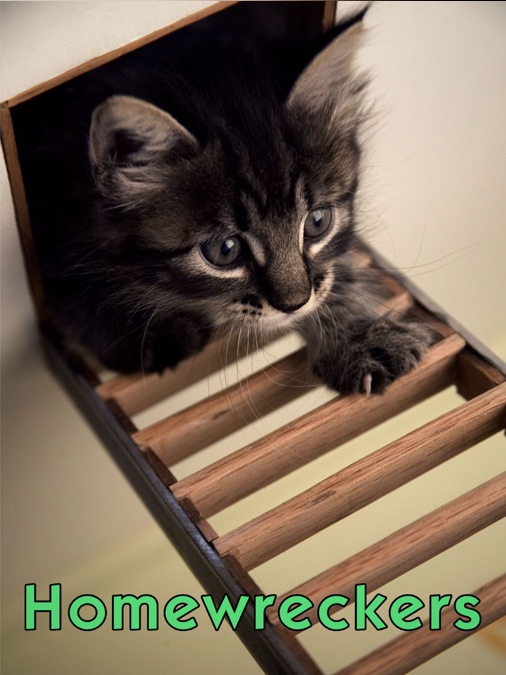 Homewreckers - Apple TV