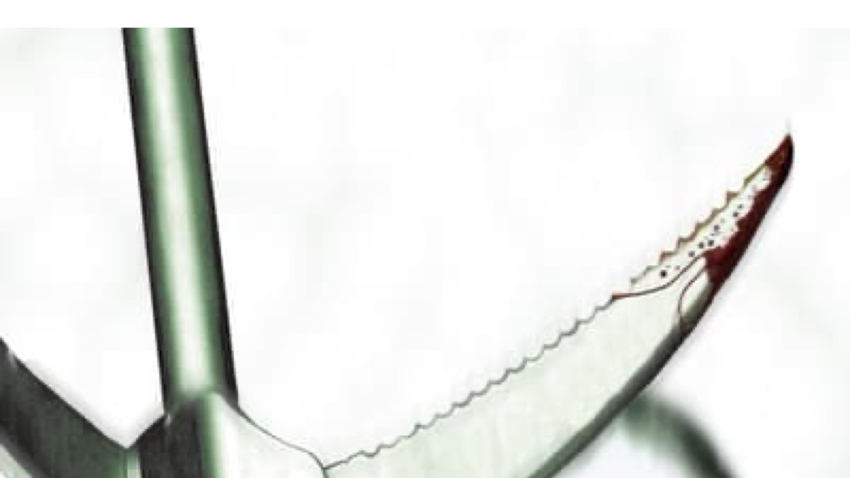 ‎Death on Demand - Apple TV