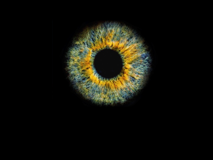 Don't Blink - Apple TV