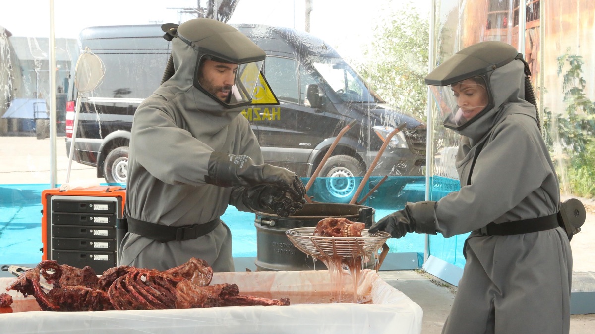 ‎El veredicto en las víctimas - Bones (Temporada 10, Episodio 18 ...
