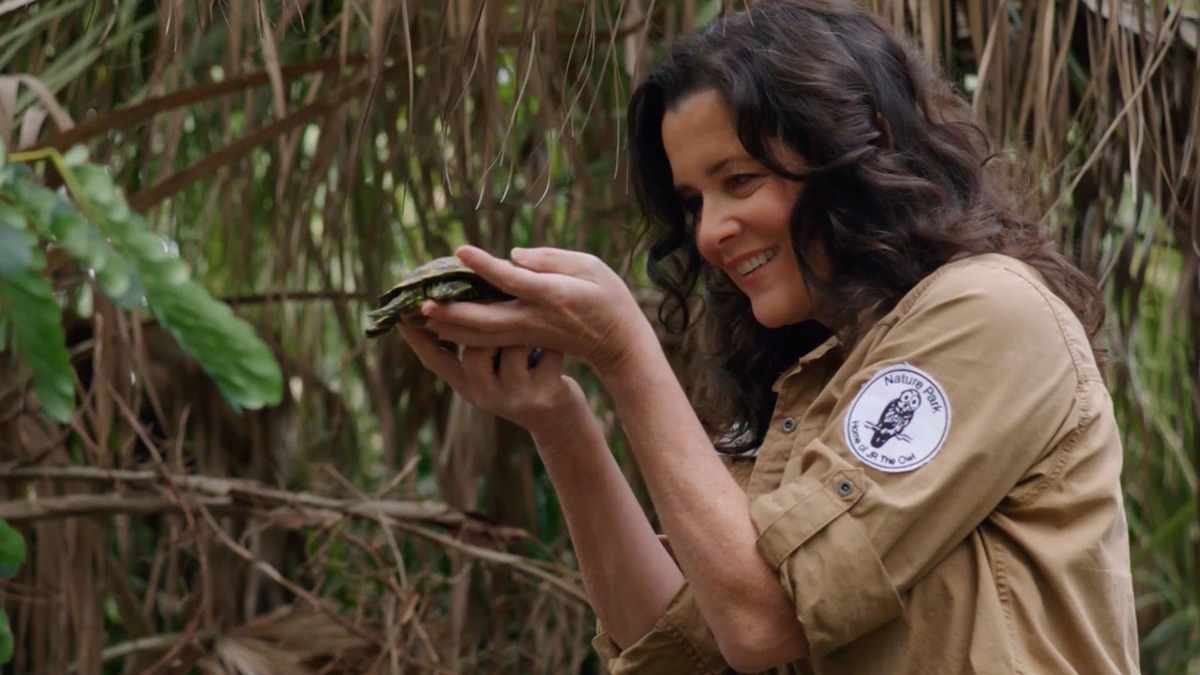 Turtle Tale - Apple TV