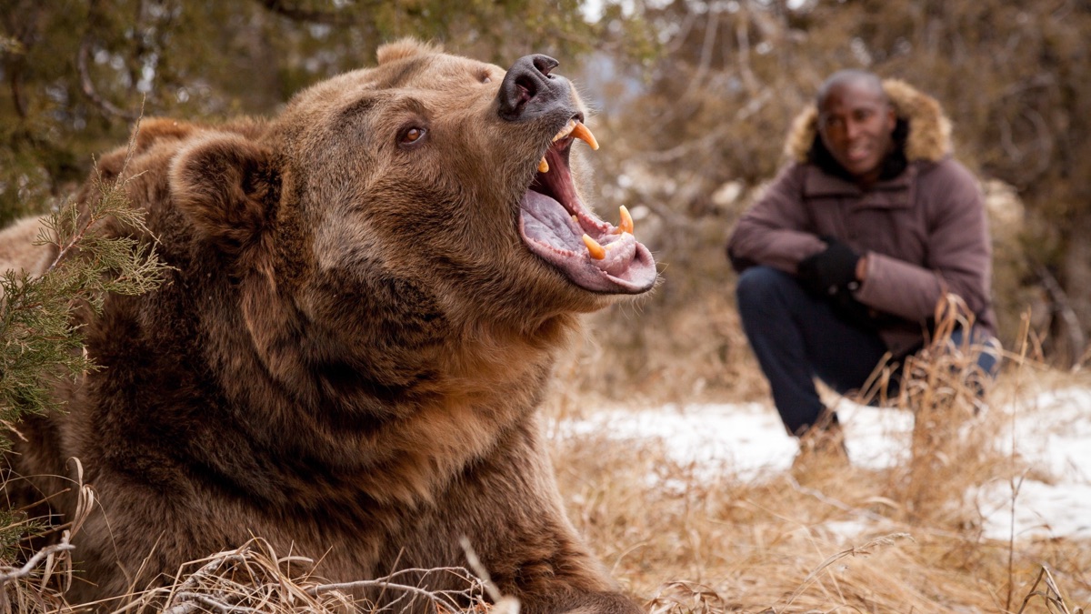 Big Beasts: Last Of The Giants - Apple TV (UK)