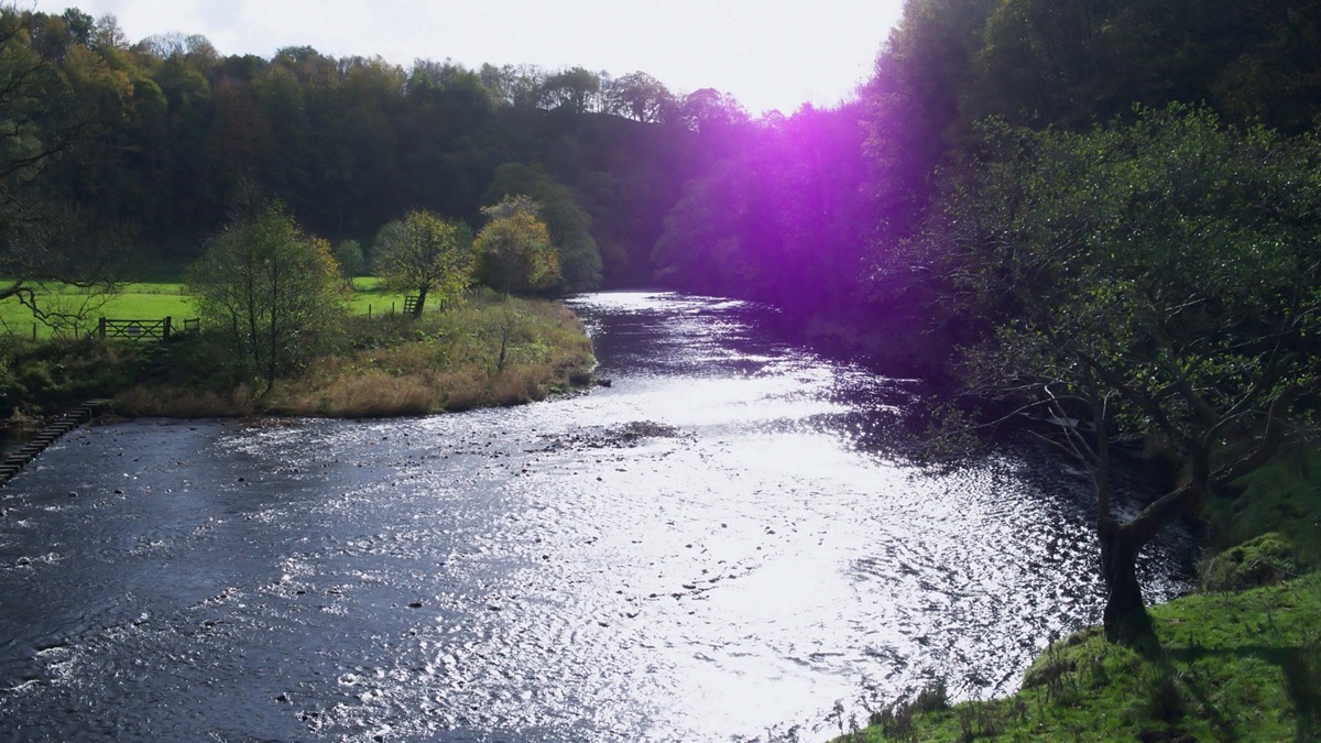 The Nidd - River Walks - Apple TV (UK)