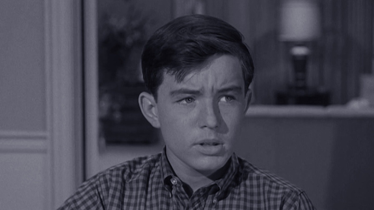 Stephen Talbot Leave It To Beaver