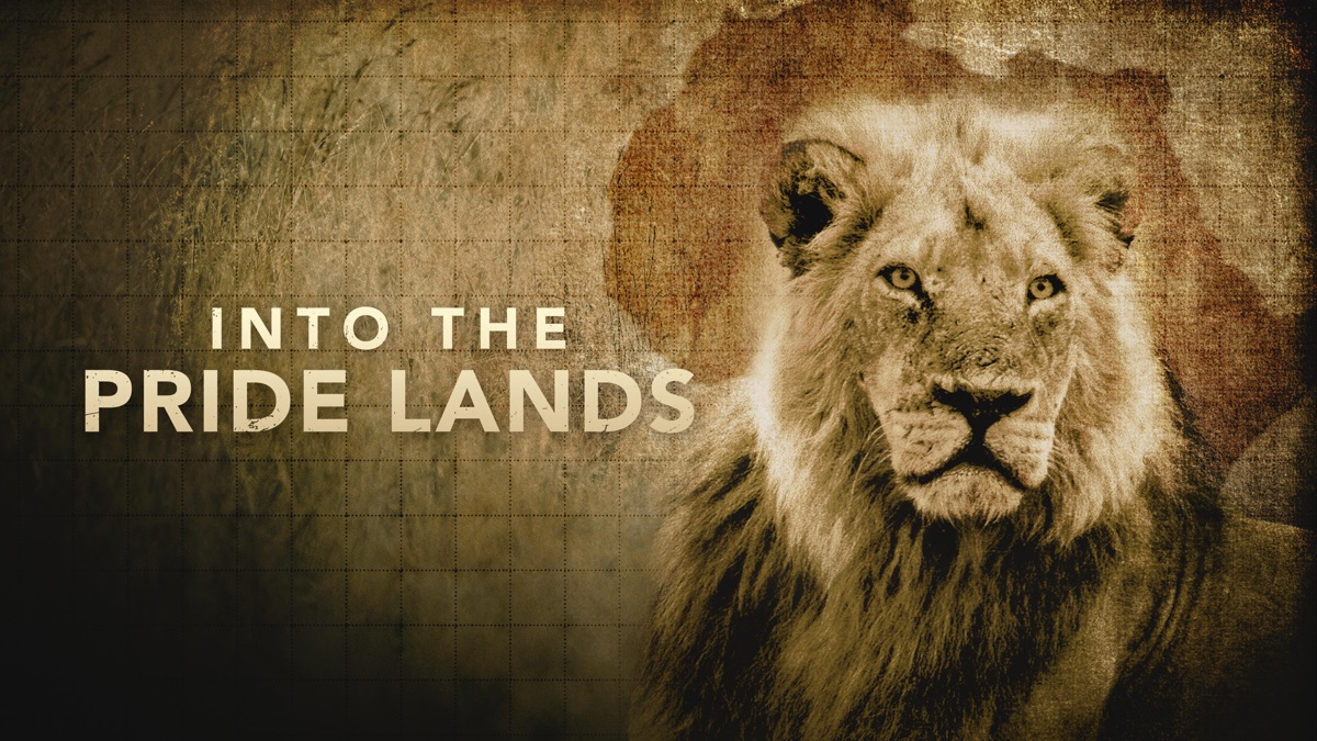 ‎Into the Pride Lands - Apple TV