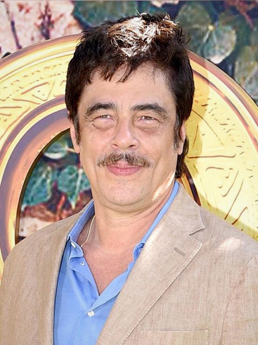 ‎Benicio Del Toro Films and Shows – Apple TV