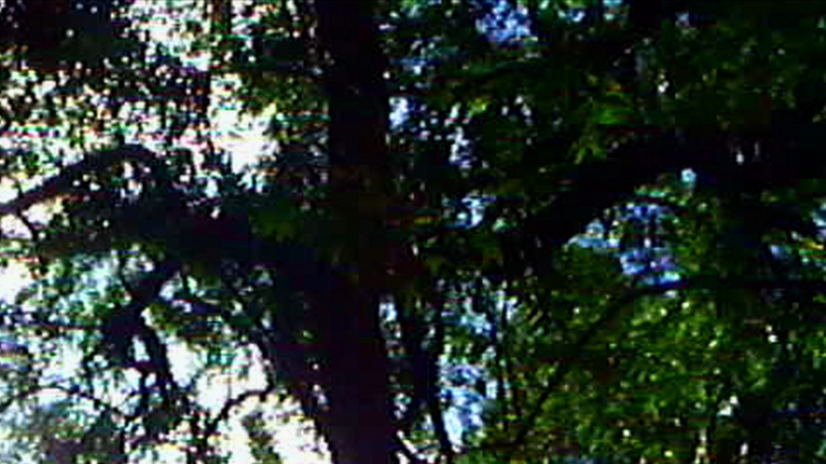 ‎Something Horizontal - Apple TV