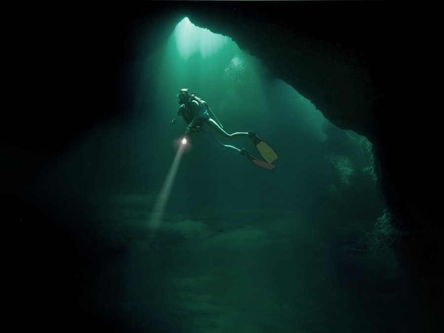 Dave Not Coming Back - Apple TV