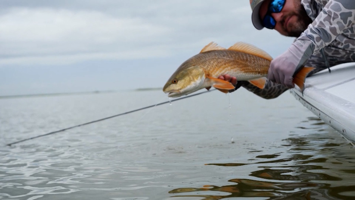 ‎Redfish in Texas – Wild Fish Wild Places (Season 14, Episode 8 ...
