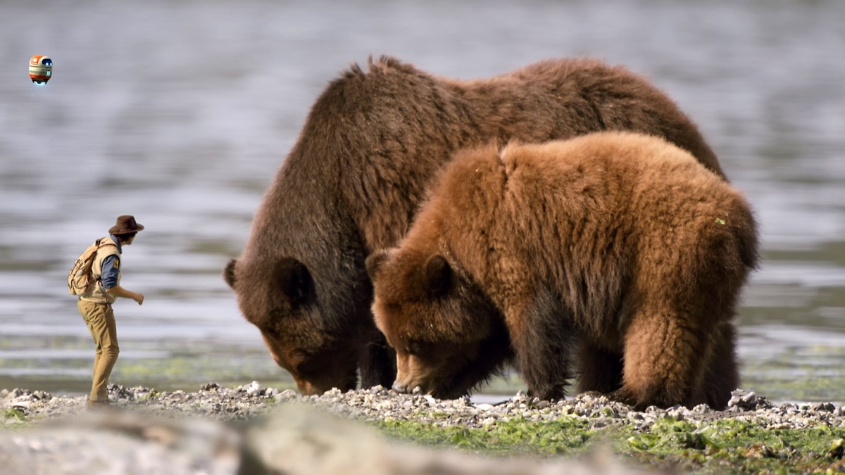 ‎Andy And The Grizzly Bear Cubs – Andy's Global Adventures (Season 3 ...