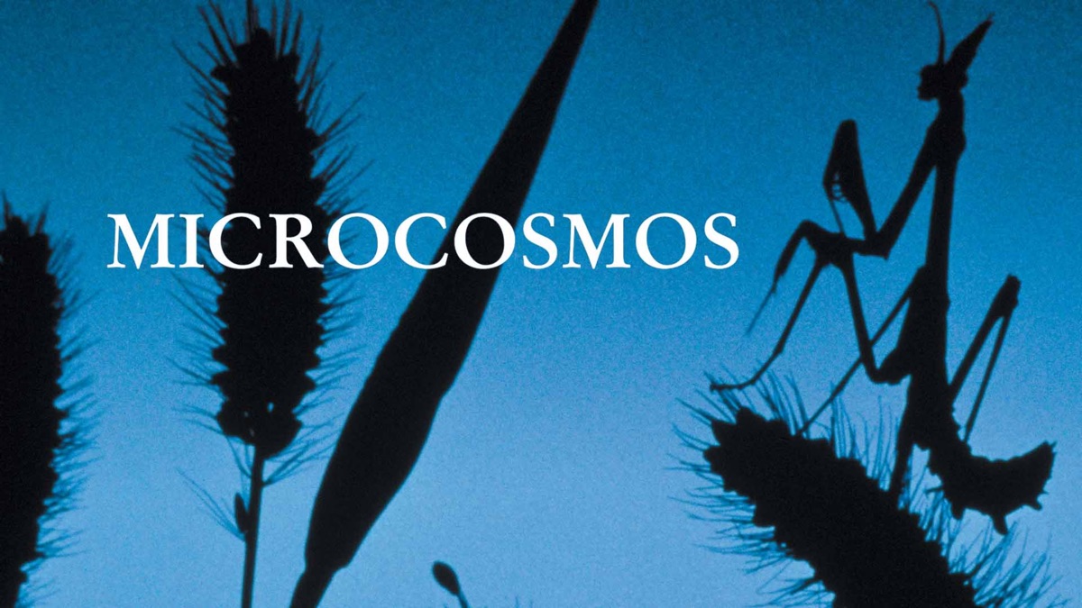 ‎Microcosmos - Apple TV