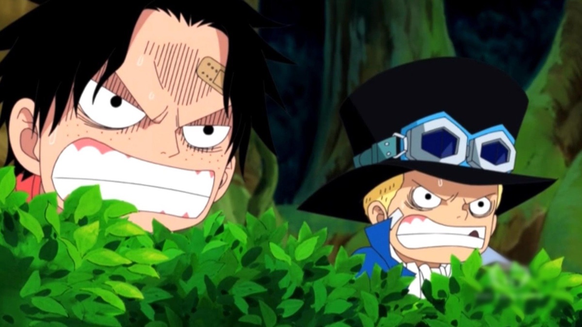 ¡Aparece Sabo! El joven de Gray Terminal - One Piece (Temporada 14 ...