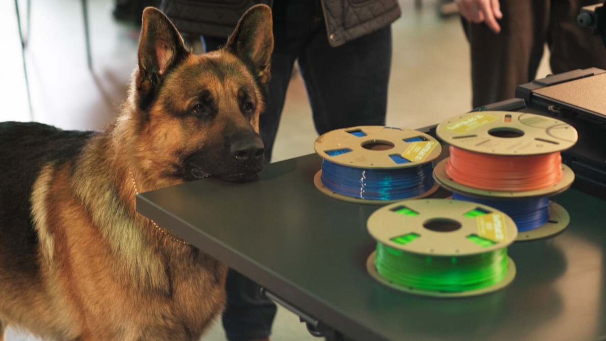 ‎K9: The Rext Generation – Hudson & Rex (Season 7, Episode 4) - Apple ...