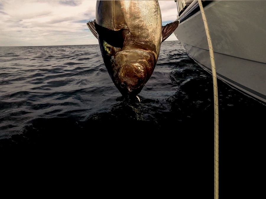 Catching Monsters - Apple TV (CA)