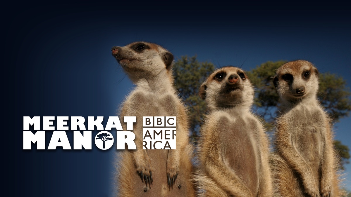 ‎Meerkat Manor - Apple TV