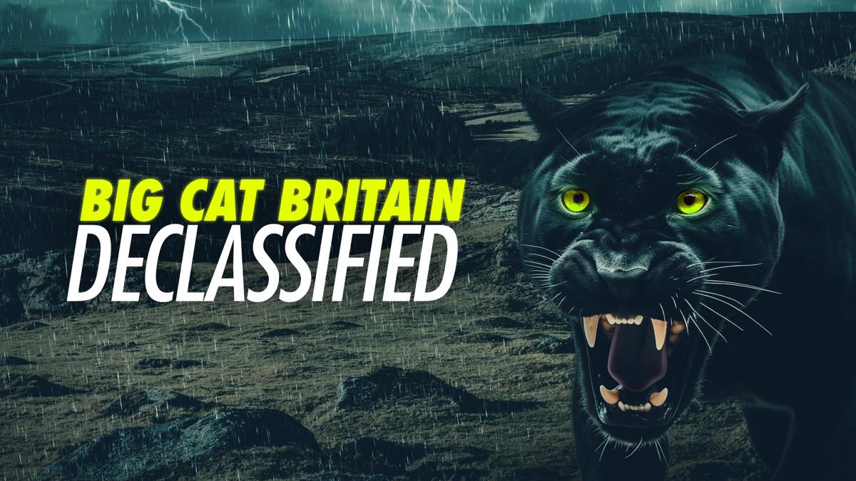 ‎Big Cat Britain Declassified - Apple TV