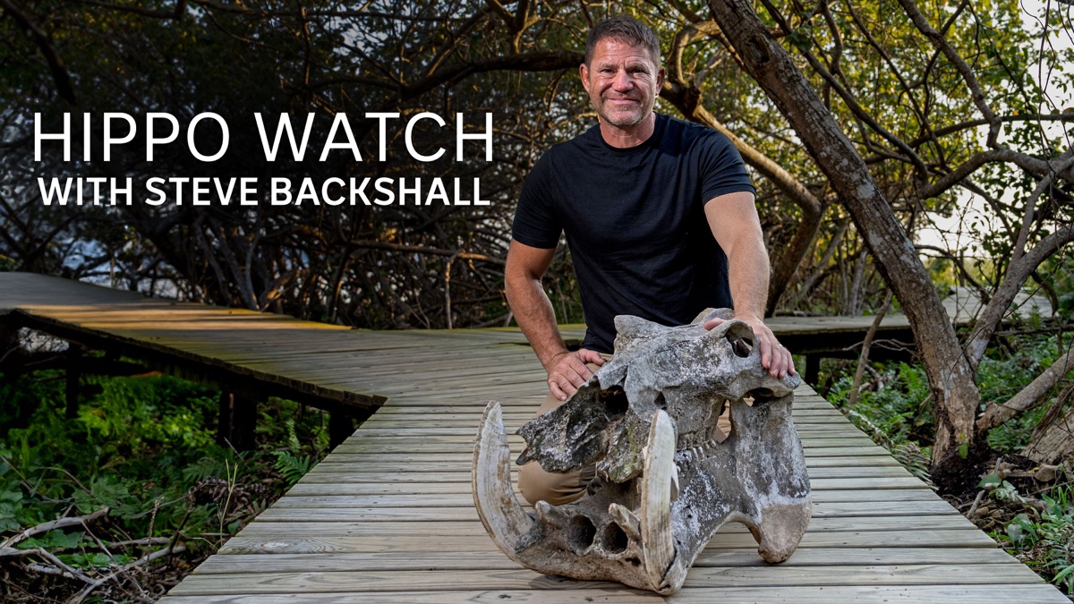 ‎Croc Watch With Steve Backshall - Apple TV