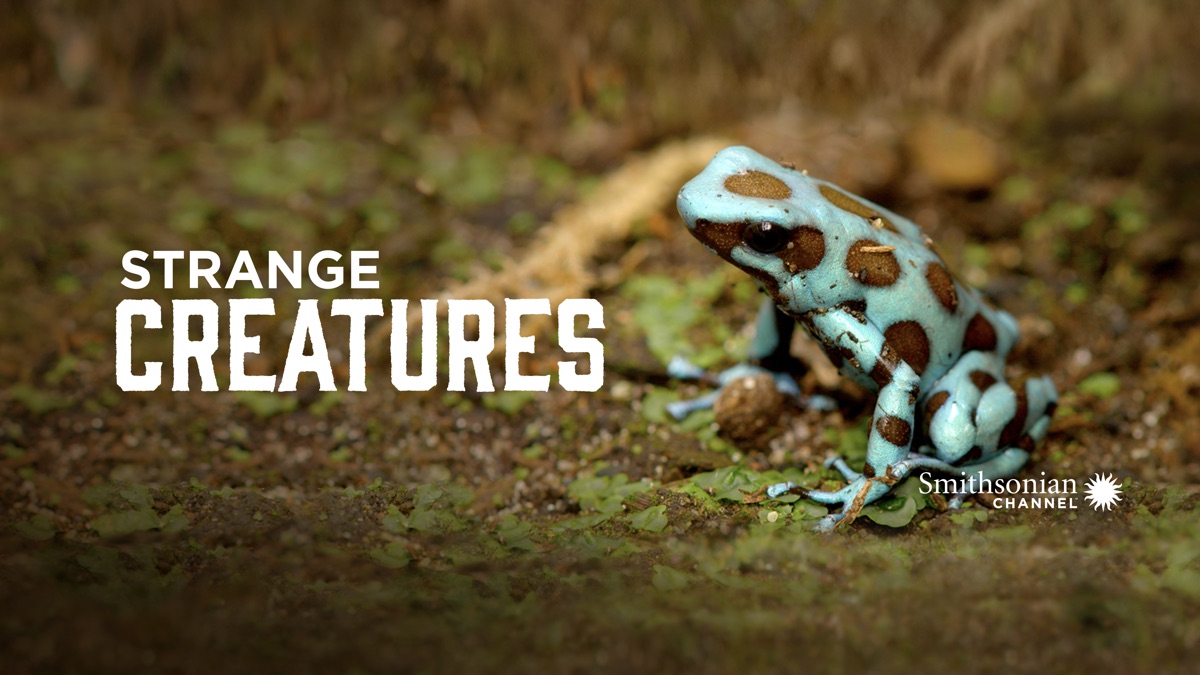 Strange Creatures》- Apple TV