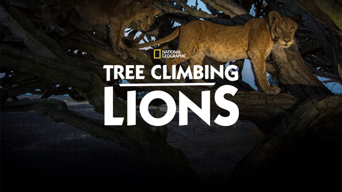 Big Cat Games on Apple TV