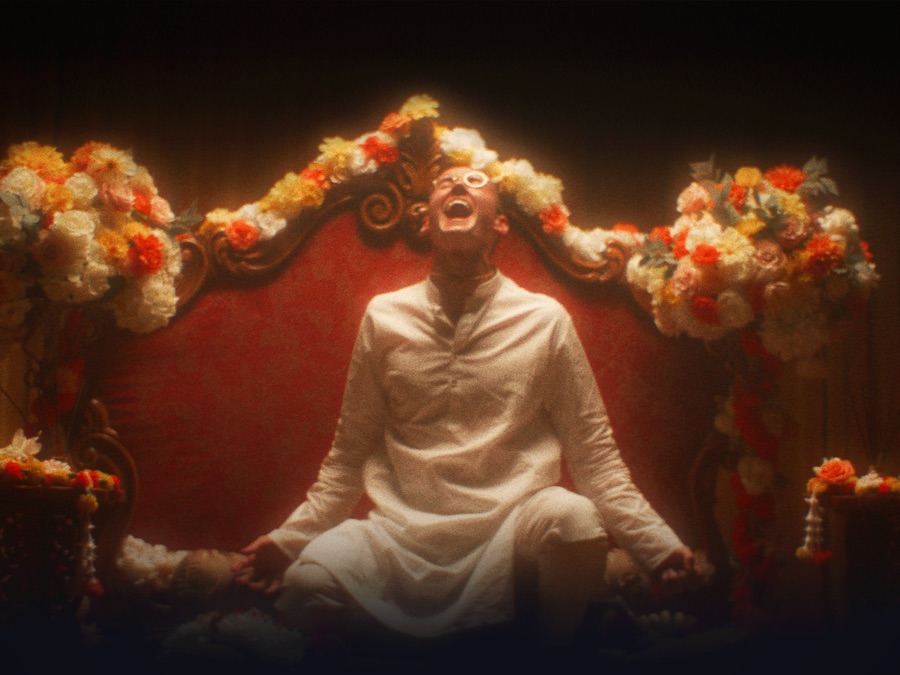 Monkey on a Stick: Murder, Madness, and the Hare Krishnas - Apple TV (CA)