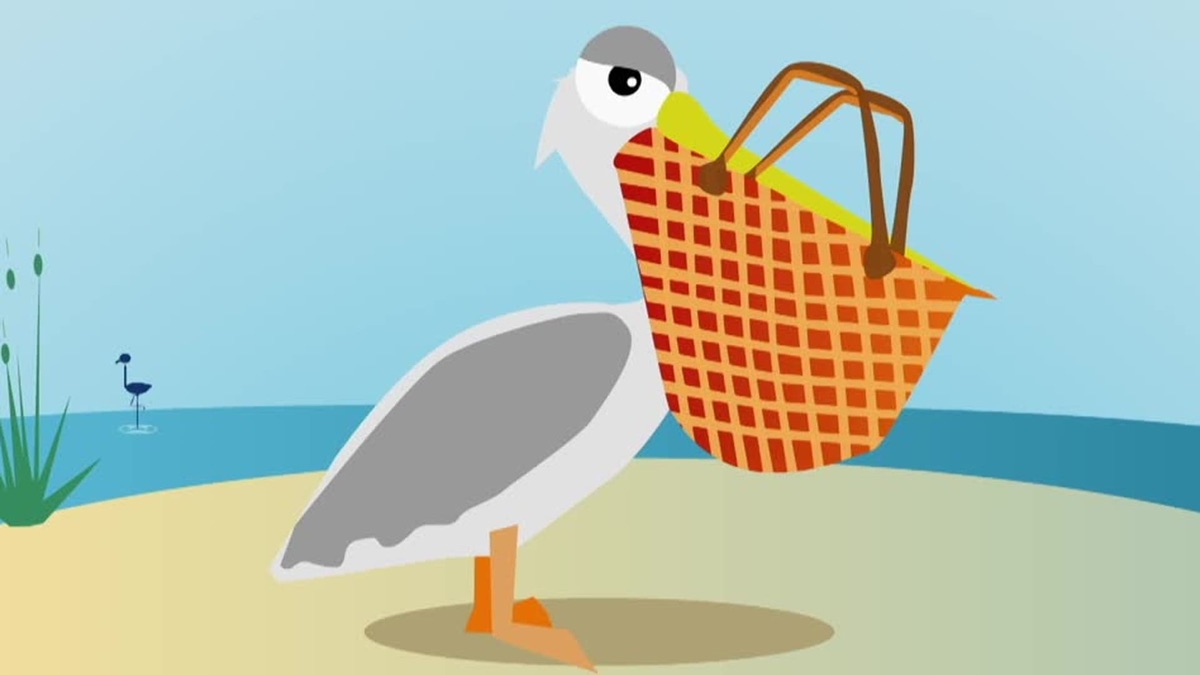 Episode 6 - Zoomix (saison 1, épisode 206) - Apple TV (FR)