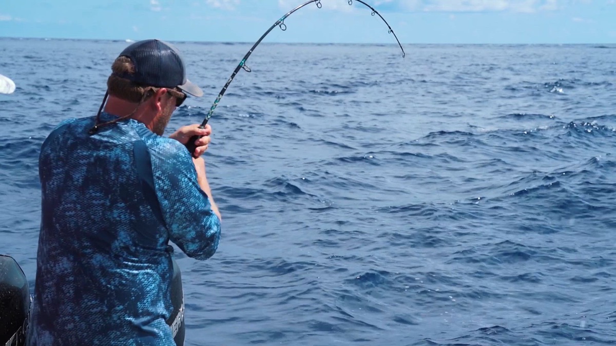 BLACKFIN TUNA on the Marathon Hump + TRIPLETAIL and MAHI-MAHI - Two ...