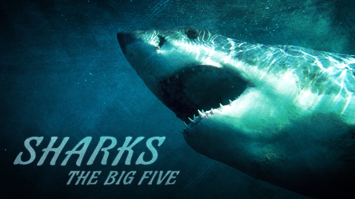 Sharks: The Big Five - Apple TV (MX)