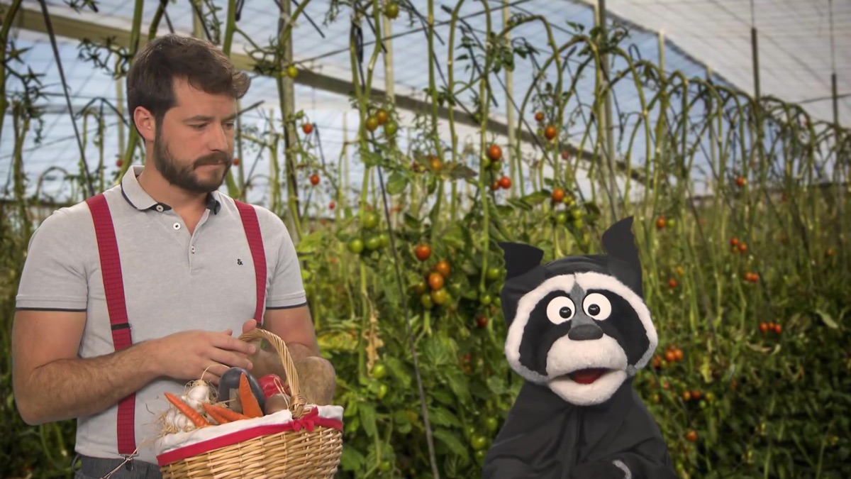 ¡Murcia, qué mapacha eres! - Aprendemos en Clan - Apple TV (ES)