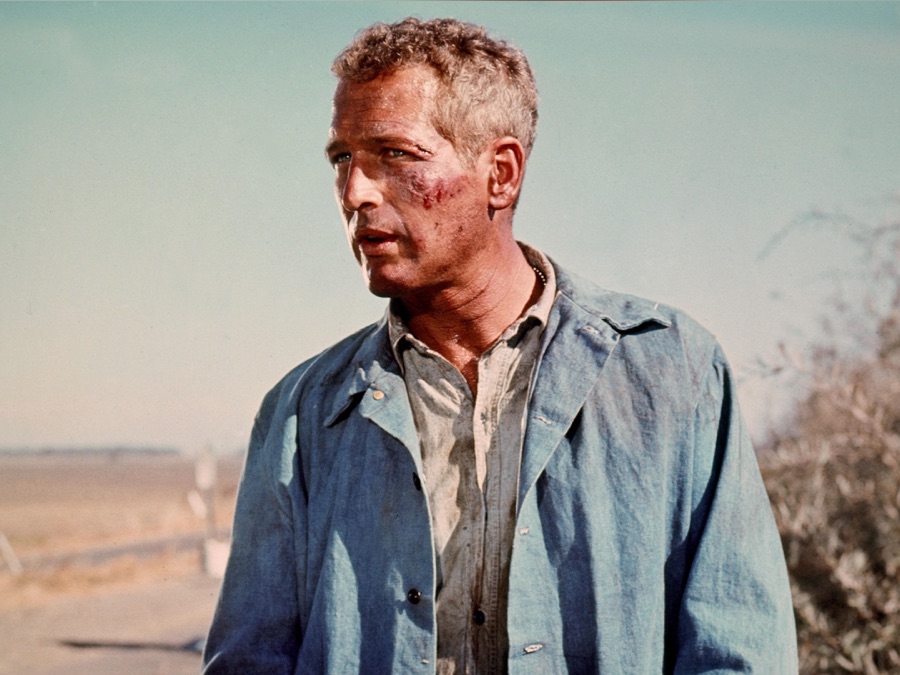 Cool Hand Luke - Apple TV