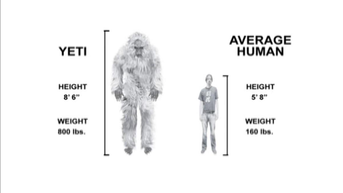 Yeti – Lost Tapes (Season 3, Episode 6) - Apple TV (CA)