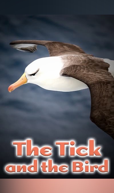 ‎The Tick and the Bird - Apple TV