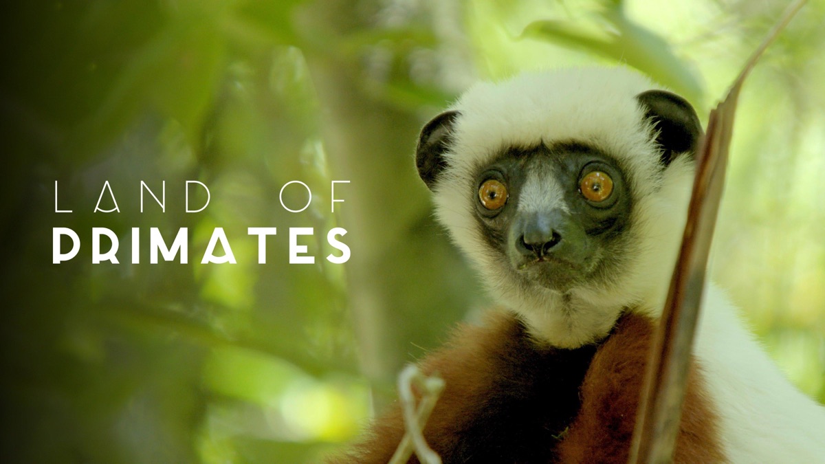 Land of Primates》- Apple TV