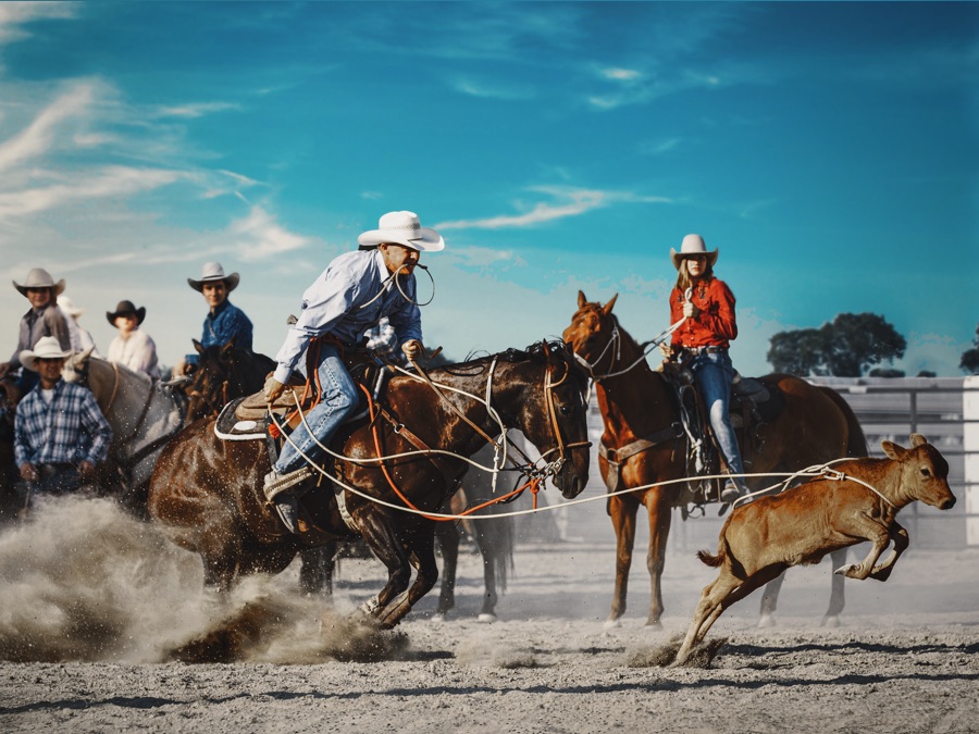 Ultimate Cowboy Showdown - Apple TV