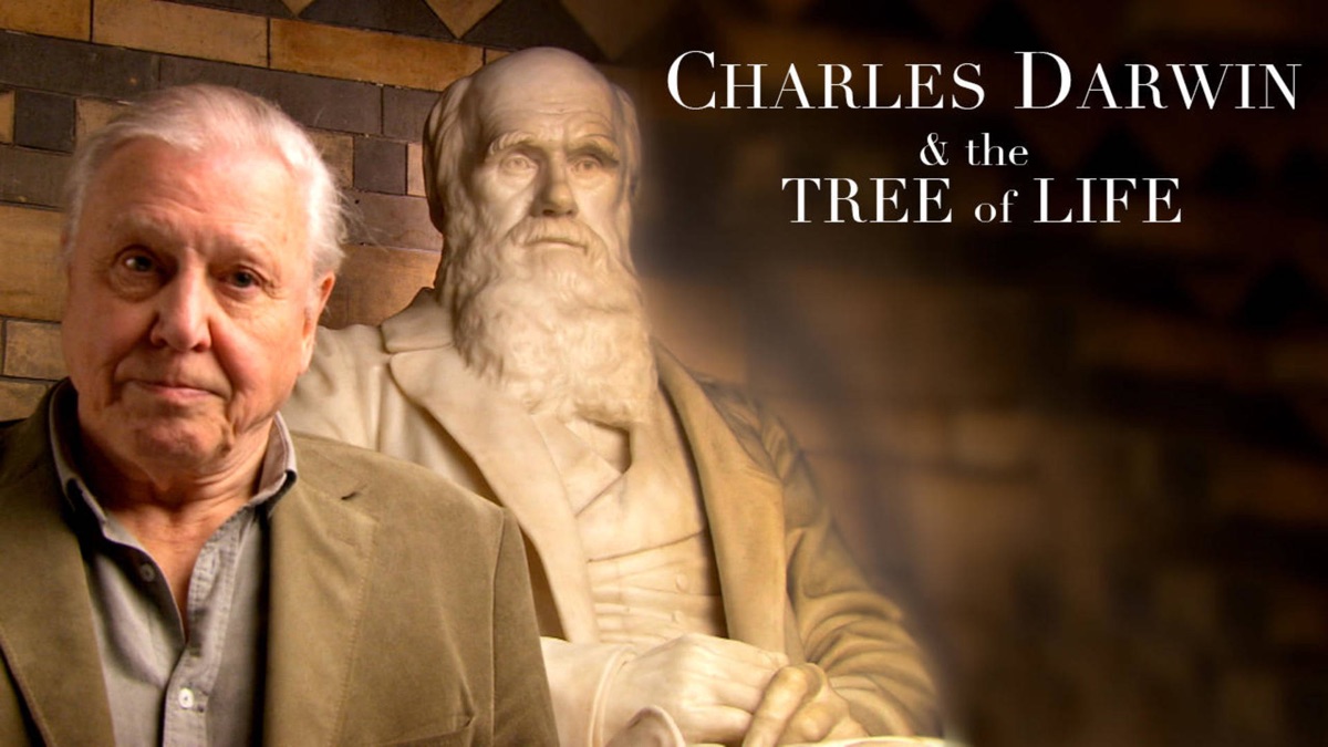 Charles Darwin and the Tree of Life - Apple TV