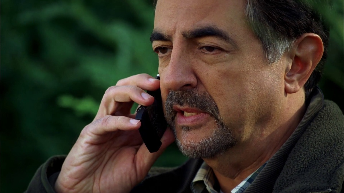 About Face - Criminal Minds (Series 3, Episode 6) - Apple TV (IE)