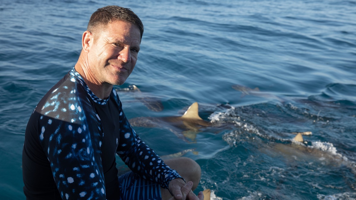 Deadly Mission Shark - Apple TV (UK)