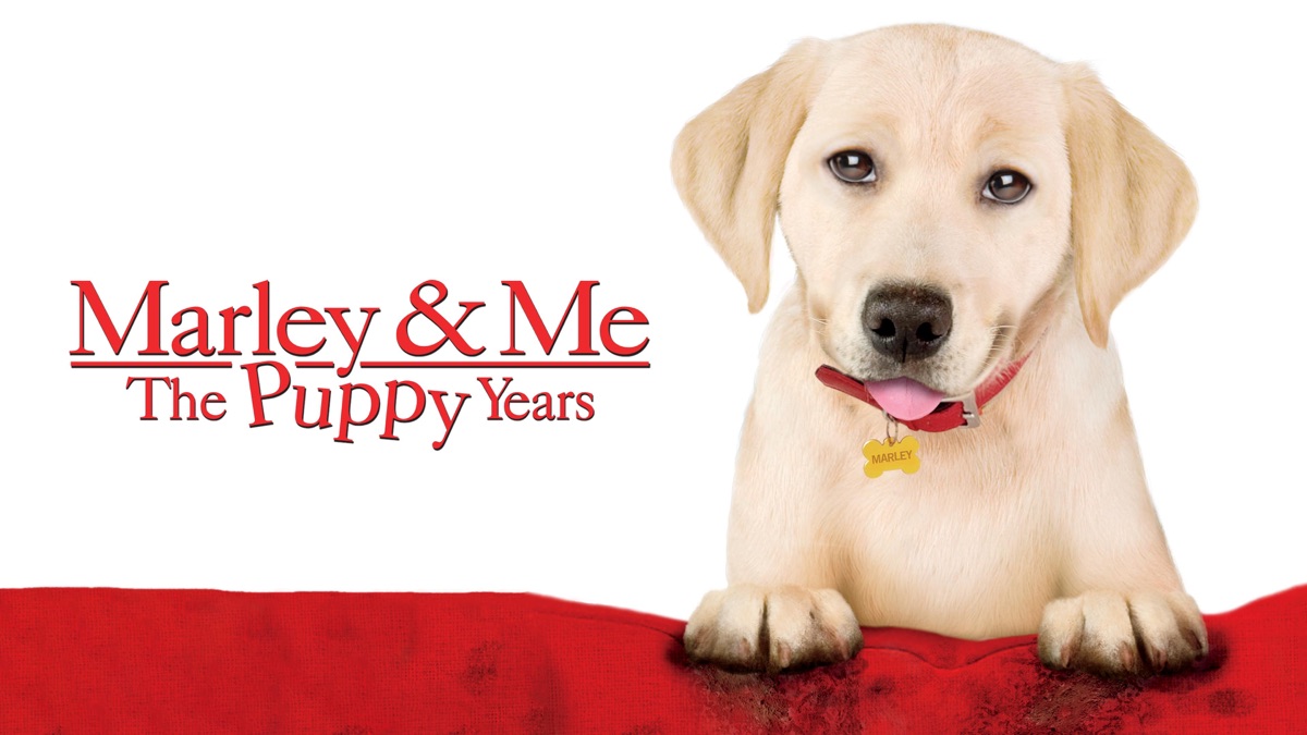 ‎Marley & Me: The Puppy Years —Apple TV