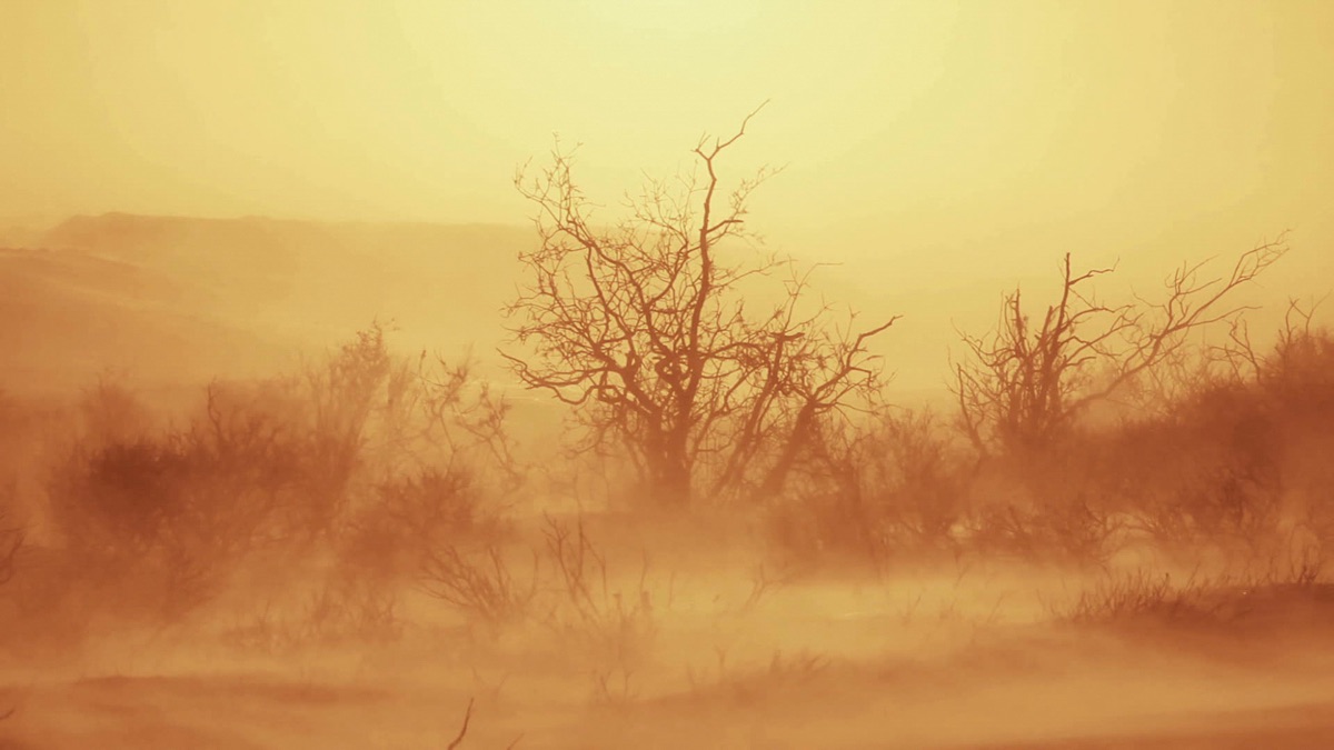 ‎Cosmic Impacts – Ancient Aliens (Season 19, Episode 6) - Apple TV (CA)