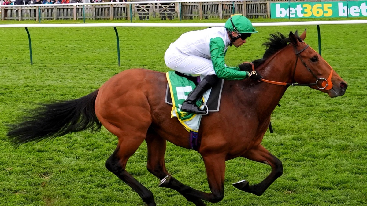 Live from Newmarket and Cheltenham - ITV Racing - Apple TV (UK)