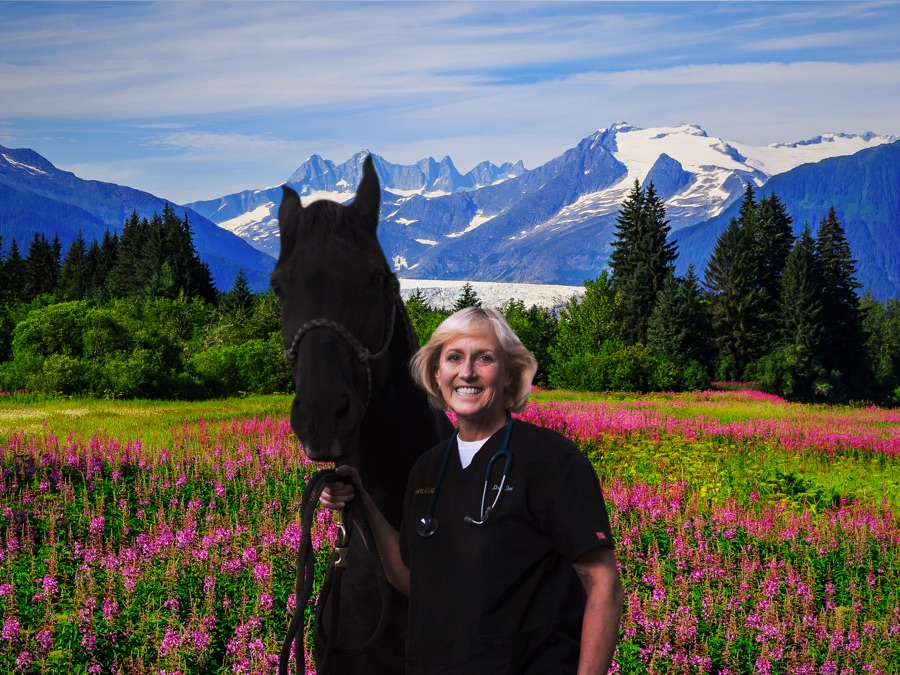 Dr. Dee: Alaska Vet - Apple TV (SE)