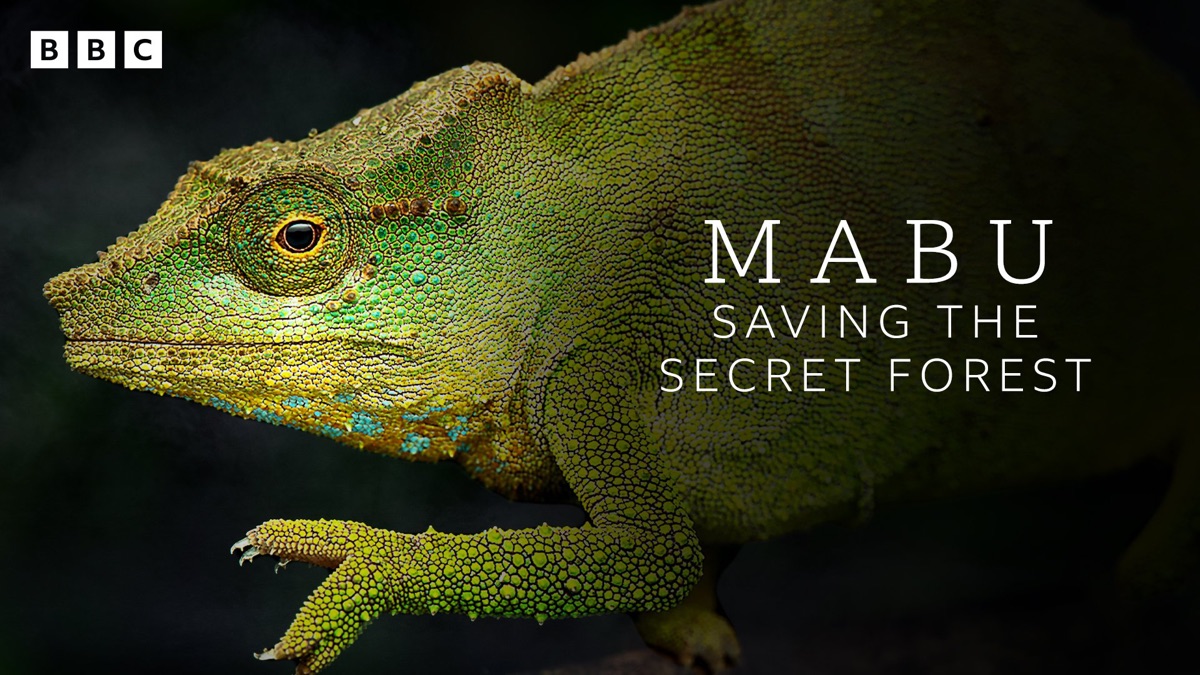 ‎Mabu: Saving the Secret Forest - Apple TV
